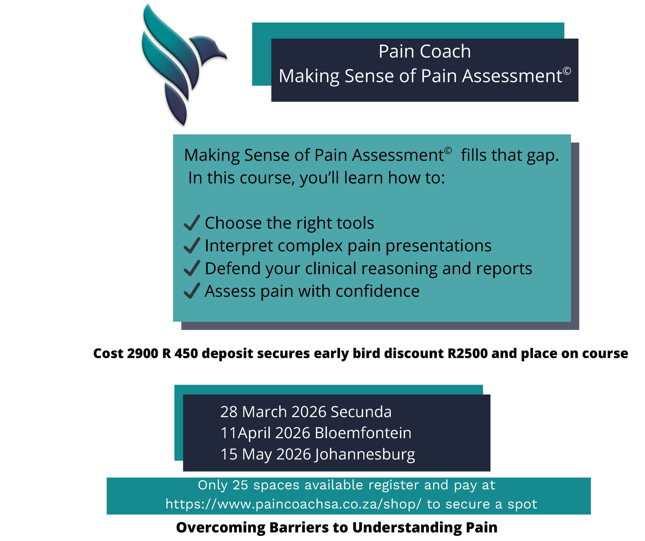 Making Sense Of Pain Assessments - Pain Coach